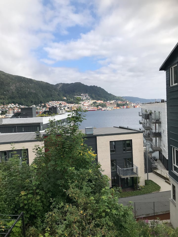 Sentrumsnær Utleiedel I Nærhet Til Gamle Bergen - Bergen
