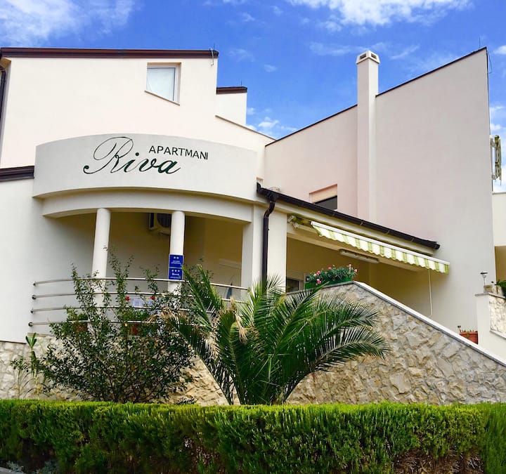 Studio Apartment Riva Povljana - Pag