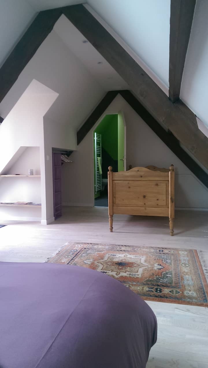 Roubaix - Grande Chambre De Charme - Roubaix