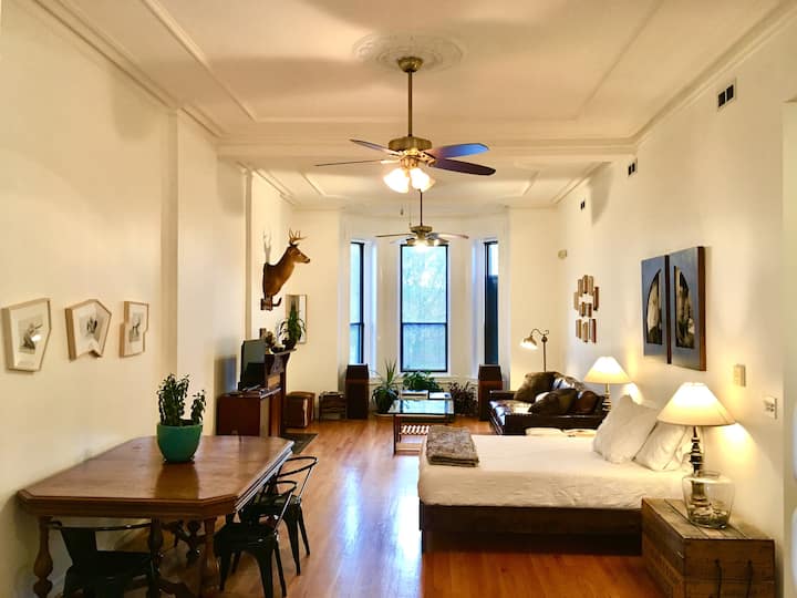 Ohc Gorgeous Huge Studio Apt Steps To Blue Line - Chicago, IL