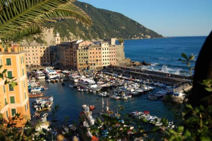 Casa Dedi, La Finestra Sul Mare - Camogli