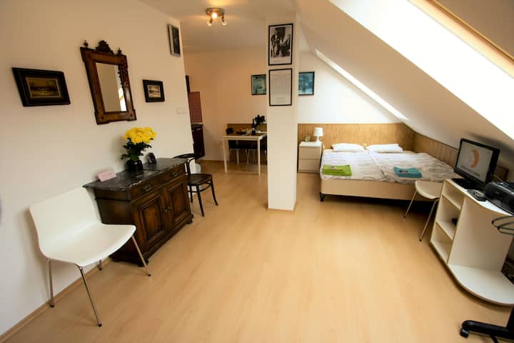 Cozy Studio Palmovka 10 Minutes To The City Centre - Praga