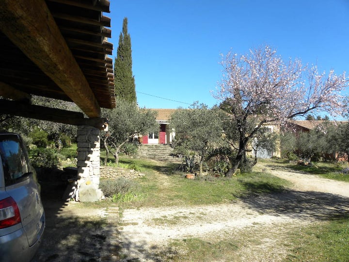 Carpe-diem Provençal - Cavaillon