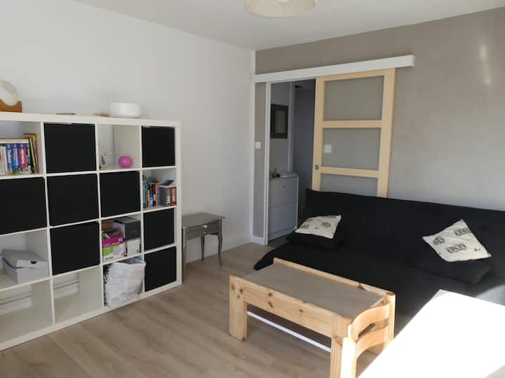 Appartement Lumineux Proche Du Centre Ville - Grenoble