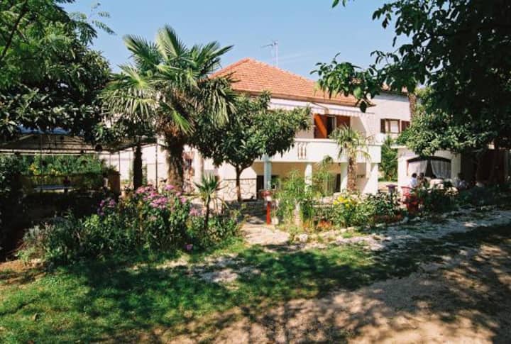 Contessa Vitali - Biograd na Moru