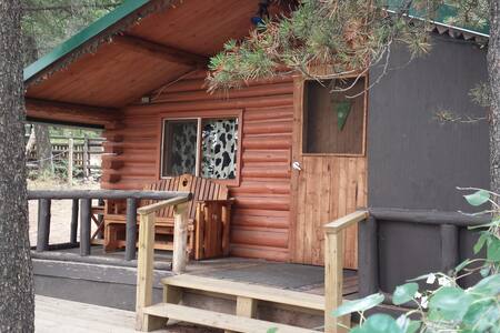 Crowsnest Pass Vacation Rentals & Homes - Canada | Airbnb