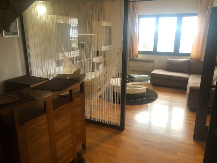 Nice & Calm House Apartment, 150m2, Up To 5prs - Belgrade