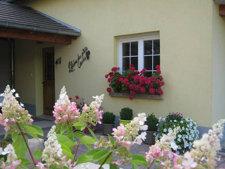 L'alcôve Des Ptits Coeurs - Benfeld