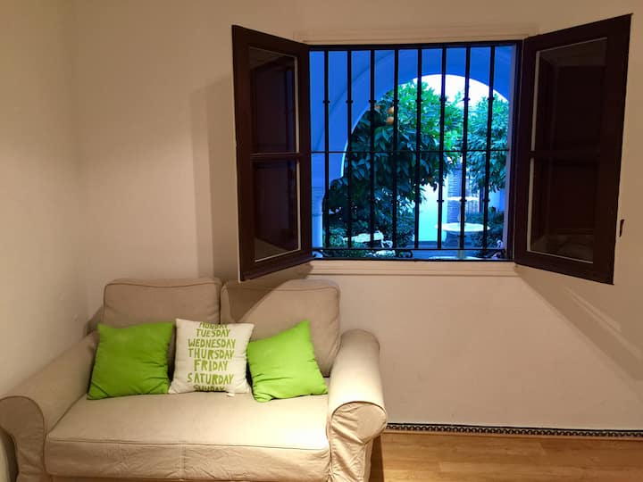 Apartamento A 50 Metros De Plaza De Santa Cruz - Aéroport de Séville (SVQ)
