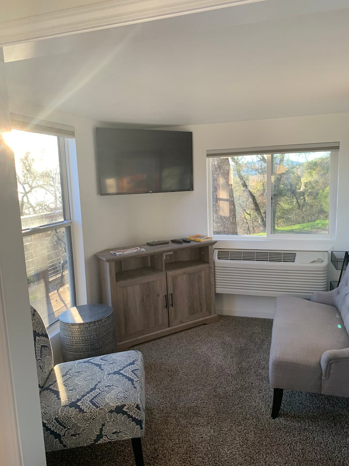 Lakeview Cottage B, 750+ 5 Star Reviews - Nice, CA