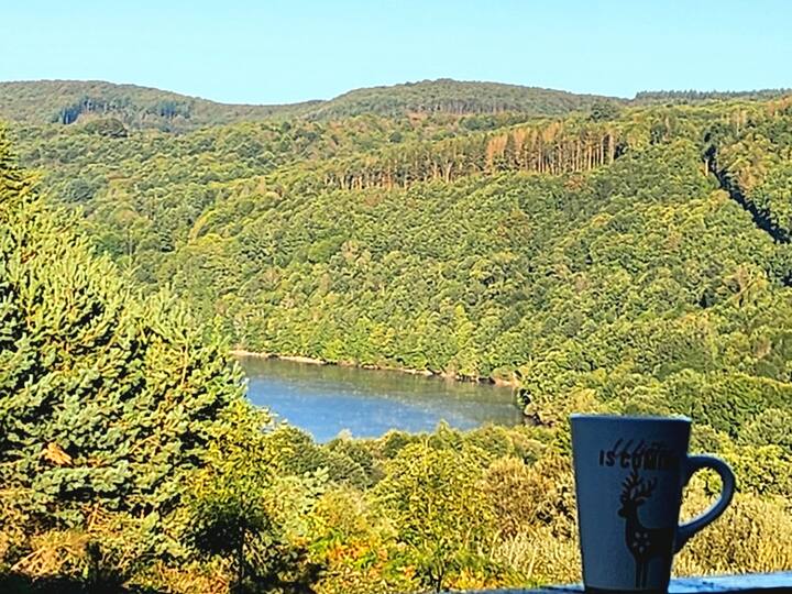 Chalet Vue Lac - La Salvetat-sur-Agout