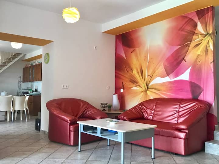 Vízparti Ház Szabadisóstón 6hálószoba, 6fürdőszoba - Plattensee