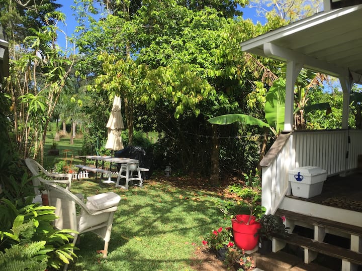 Sweet Country Cottage On 2 Acres; Palm Trees Birds - Paia, HI