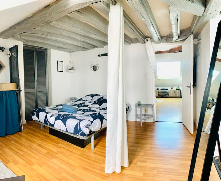 Le Petit Cosy - 2 Voyageurs - Wifi - Le Mans