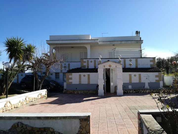 Melina It074005c200087645
Cis Br07400591000043769 - Cisternino