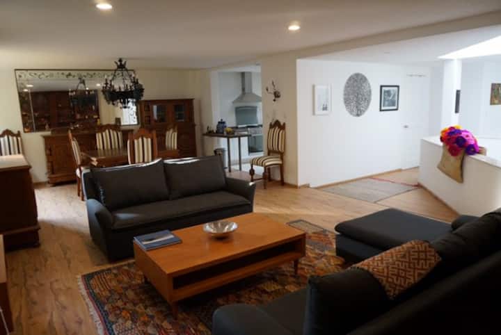 Beautiful Apartment Full Of Light In Condesa/roma - Mexico City