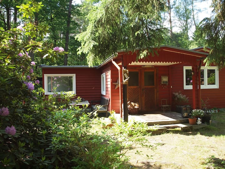 Dream Woodhouse - Handeloh