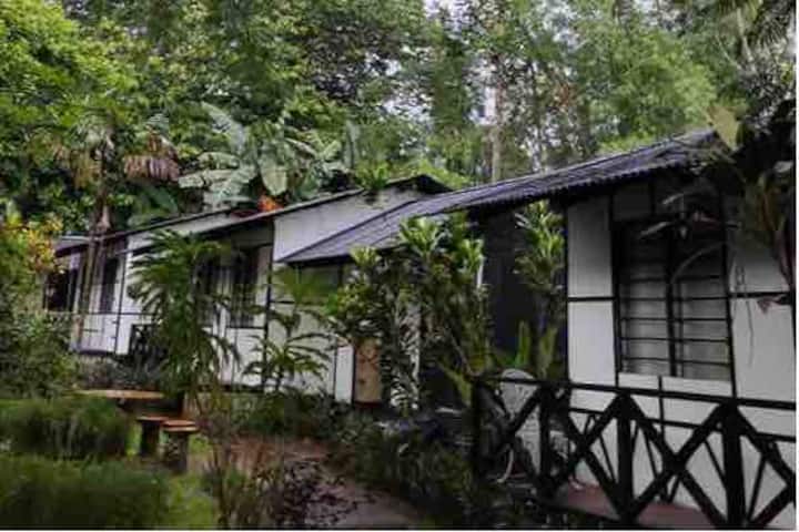 Family 6 Stream Centella Asiatica Resort Pahang - Bukit Tinggi