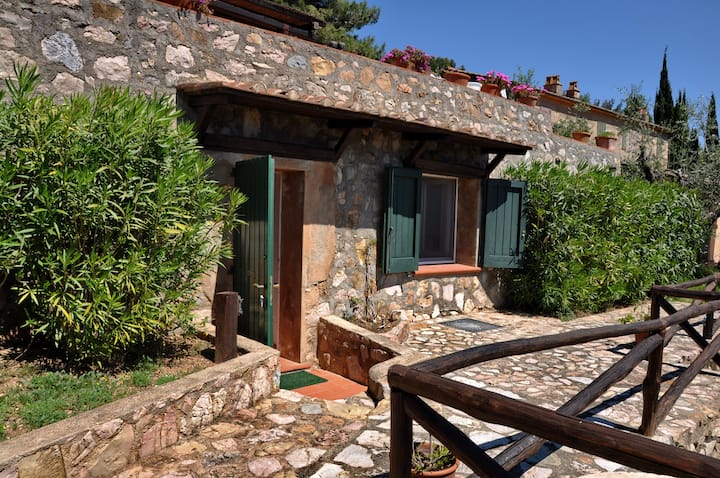 Oasi Magica Tra Mare E Macchia Mediterranea - Elba