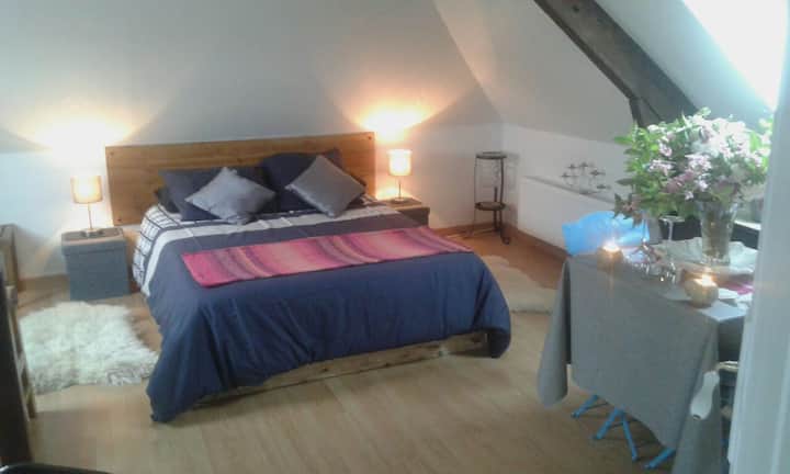 Studio Cosy - Laon
