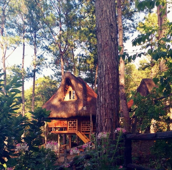 Sagada Heritage Village - Sagada