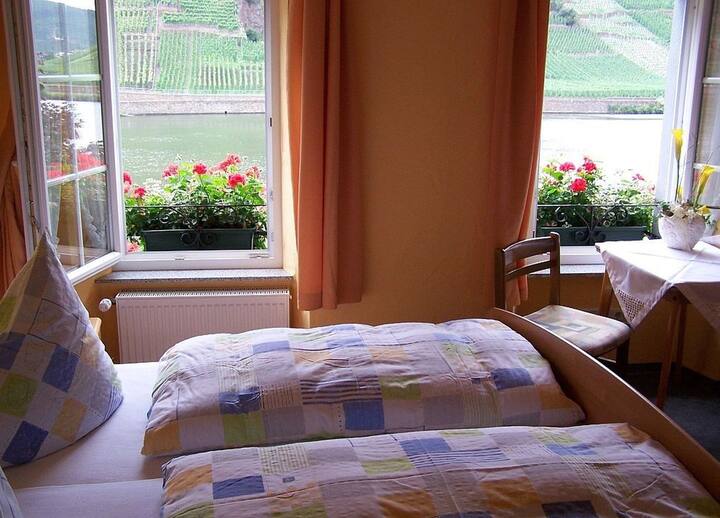 Pension Mosellablick, (Briedern) - Cochem