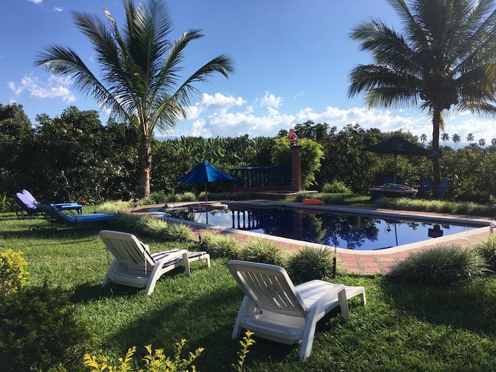 House Tree - Quindío