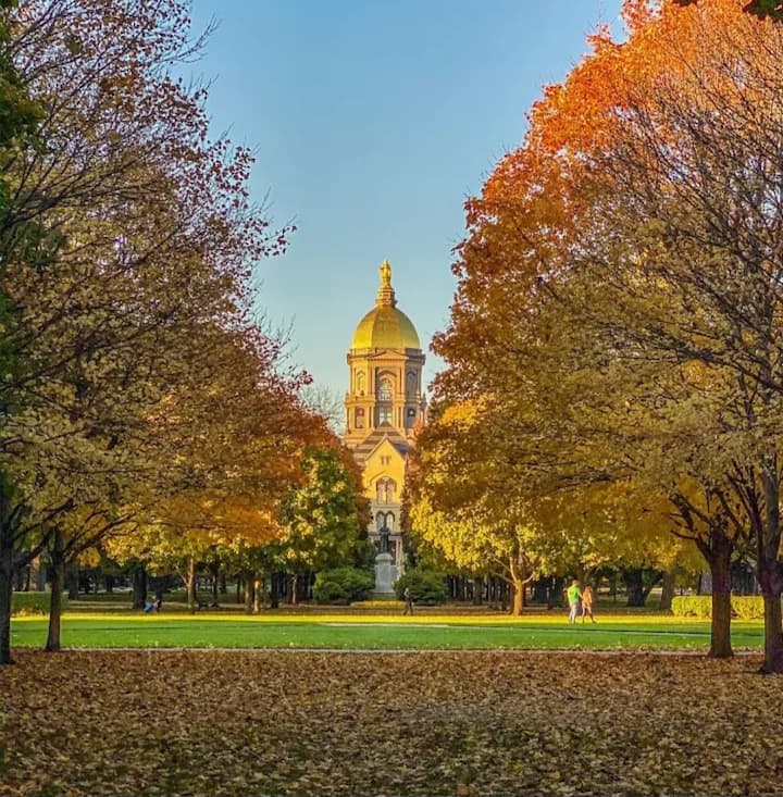 Comfy & Clean, King, Queen & Full Beds, Go Irish! - South Bend, IN