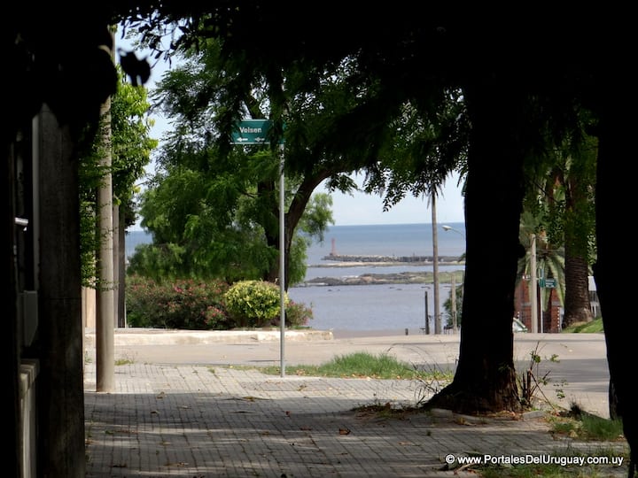 Dos Apartamentos Familiares Juntos - Montevideo