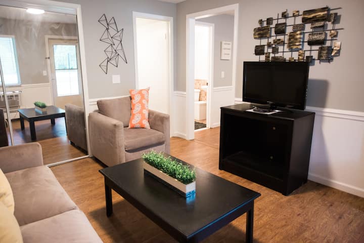 #11 Elegant 1br Near Downtown Detroit - Detroit, MI