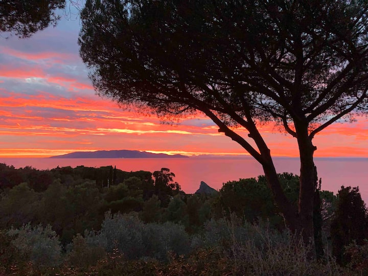 Il Poggetto - Elegant Villa With Amazing View - Monte Argentario