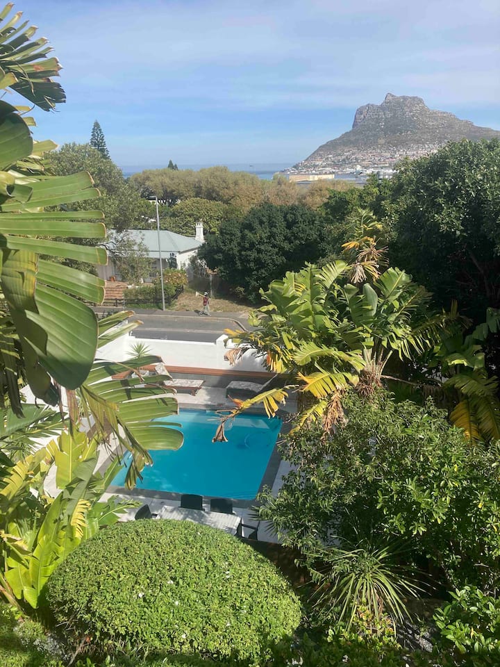 Chapman's Peak Lookout - 開普敦