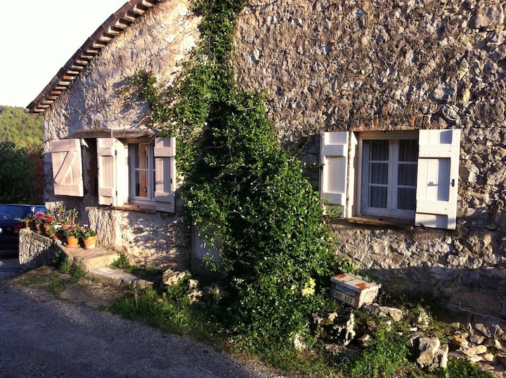 Provence: Seillans, Mas Piscine Privée - Fayence