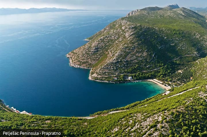 Apartments "Ledinic" - Ston