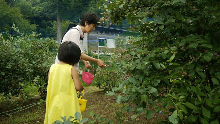 Top 10 Farm Stays In Japan | Trip101