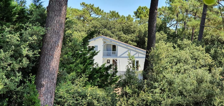 Vacances Idéales En Famille Ou Entre Amis - Soulac-sur-Mer