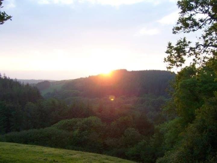 Wild & Pure Camping - Croyde