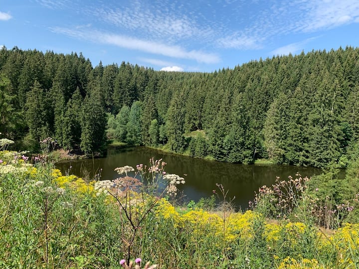 Mitten Im Harz Und Teil Der Kaiserstadt Goslar! - Clausthal-Zellerfeld