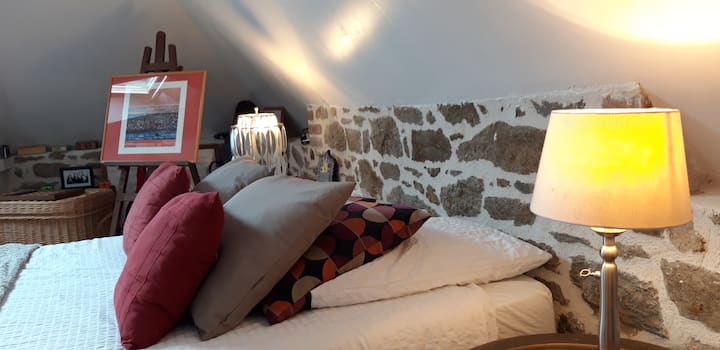 Chambre-grenier 40m2 Avec Salle D'eau Privée - Saint-Malo