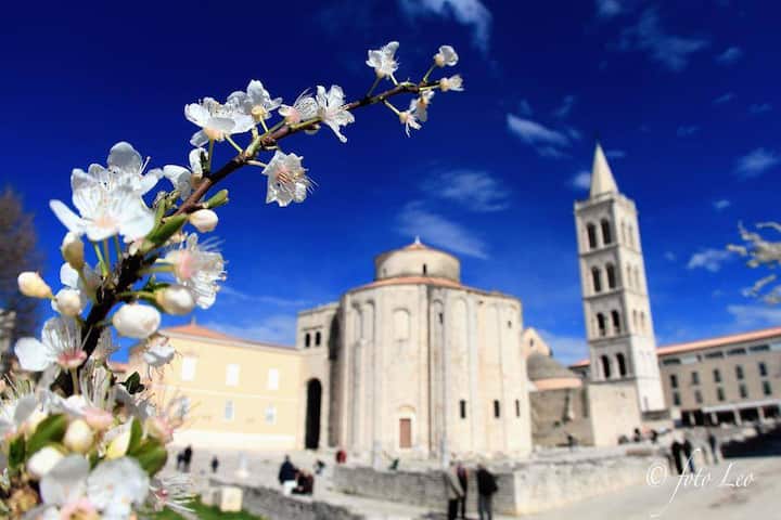 Spacious Apartment Mauro & Pia In Center Of Zadar - 札達爾