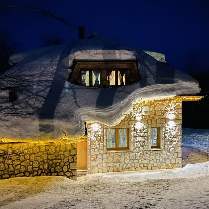 Green Forest - Montenegro