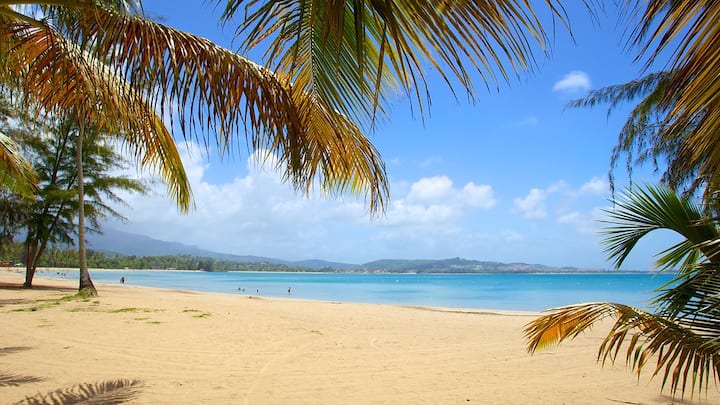 Paraiso Tropical By Sea - Luquillo
