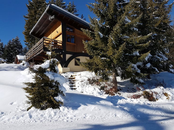 Chalet Ski Au Pieds 12 Pers Doucy/valmorel - Moutiers
