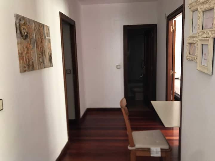 Apartamento En Pleno Centro Catedral 1d - Oviedo