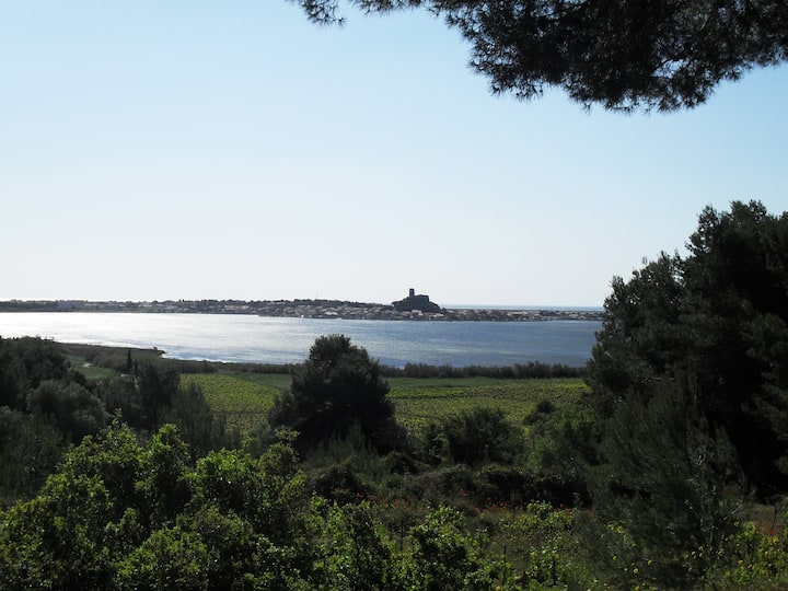 Lou Cigalou - Gruissan