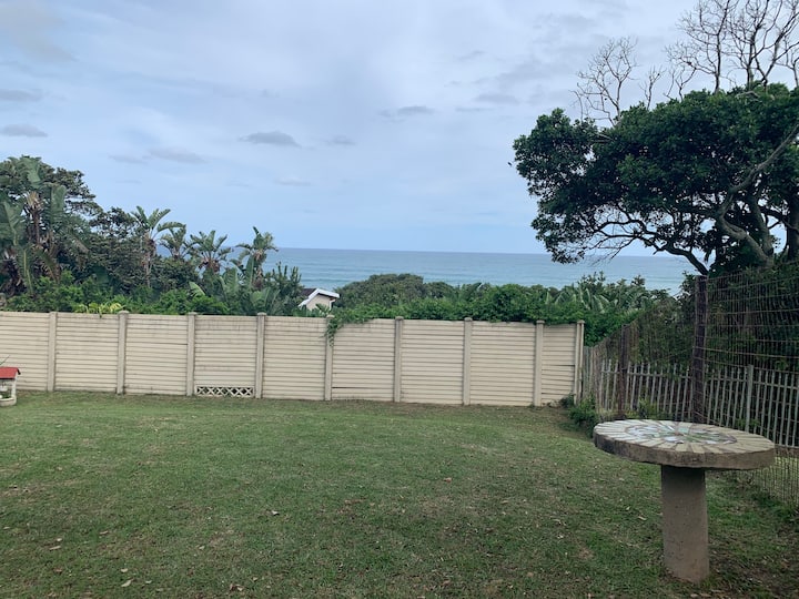 Strandjakkals - Port Edward