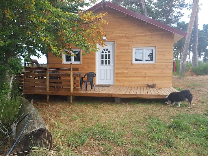 Chalet, Chrysalide, Ferme De Vovady - Saint-Bonnet-le-Froid