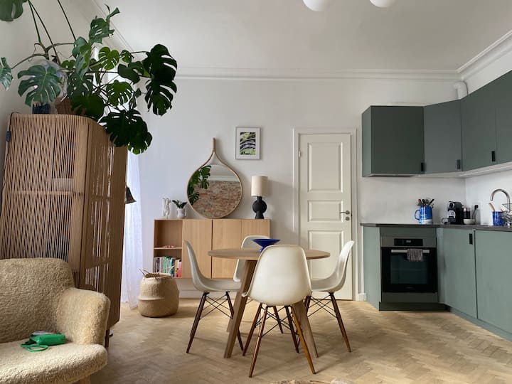 Cosy And Newly Renovated Central Copenhagen - Copenaghen