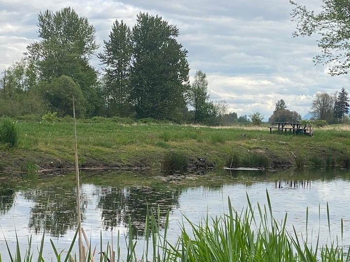 1 Cottonwood Pond Campsite On June Bud Farms - Ferndale, WA