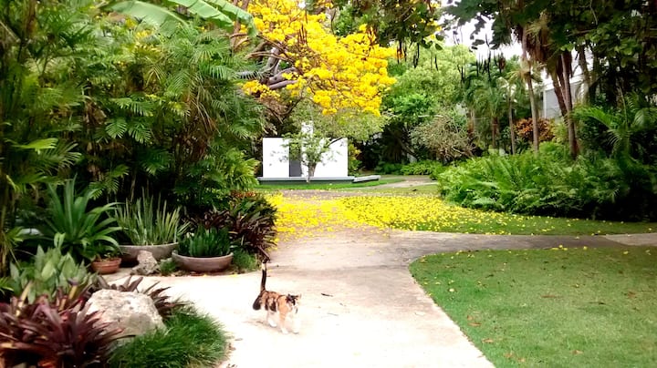 Ample Garden Apt. Studio Neartrain - Puerto Rico